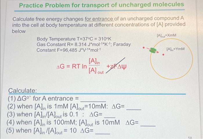 Solved Practice Problem for transport of uncharged molecules | Chegg.com