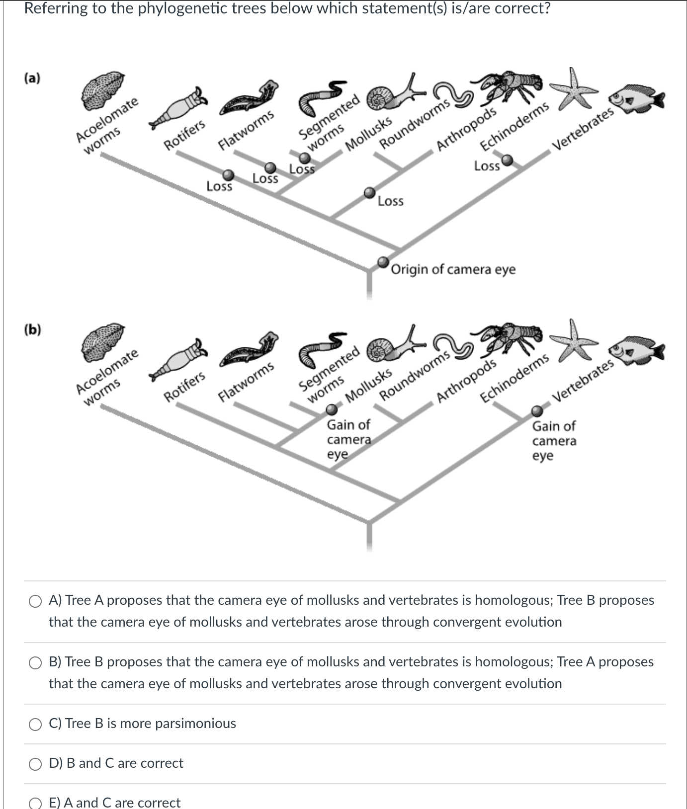 Solved Referring to the phylogenetic trees below which | Chegg.com