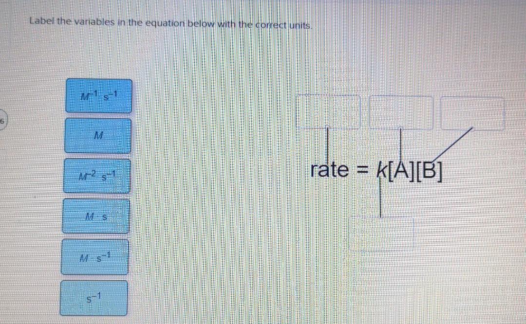 Solved Label the variables in the equation below with the | Chegg.com