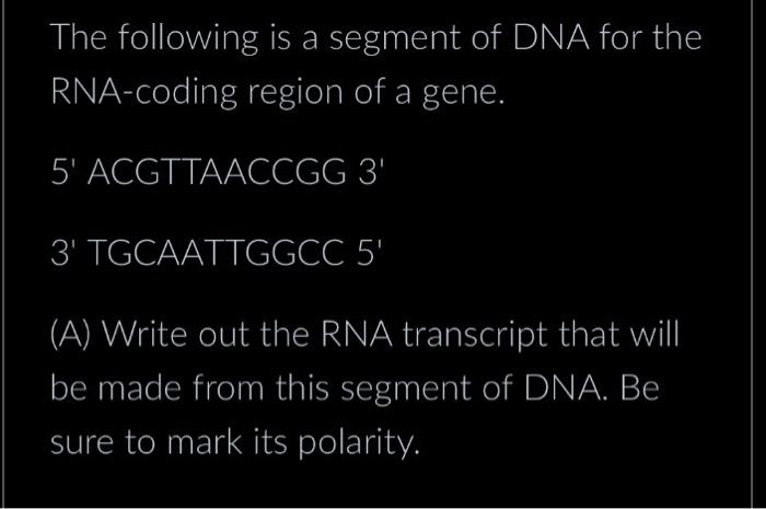 Solved The following is a segment of DNA for the RNA-coding | Chegg.com