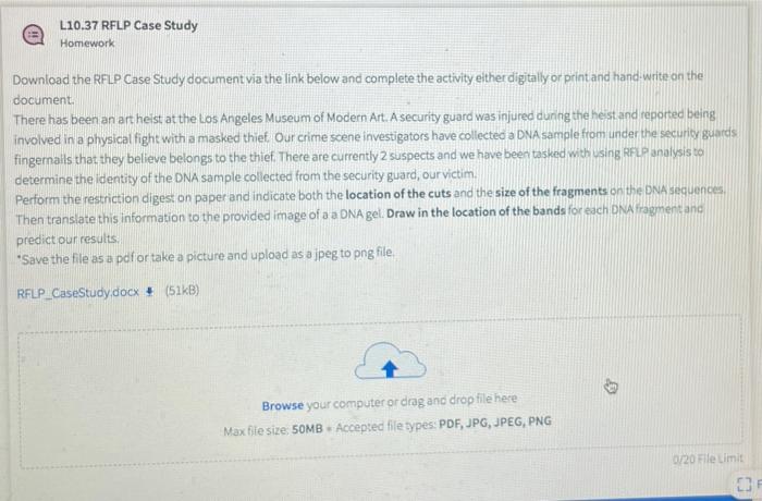 Solved L10.37 RFLP Case Study Homework Download the RFLP | Chegg.com