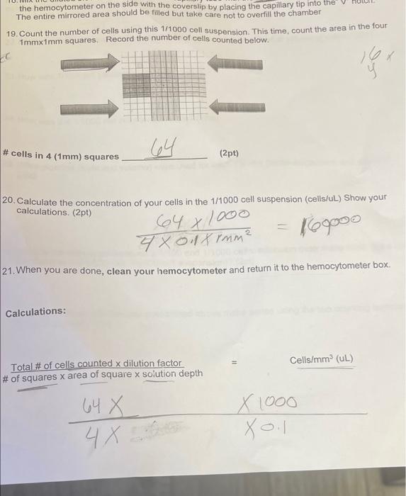 Solved and to practice principles of microscopy s of microf | Chegg.com