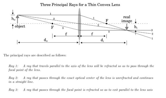Solved From your tracing of the rays through the convex | Chegg.com