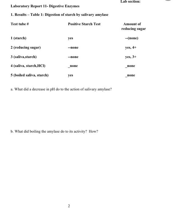 Solved Lab section: Laboratory Report 11- Digestive Enzymes | Chegg.com