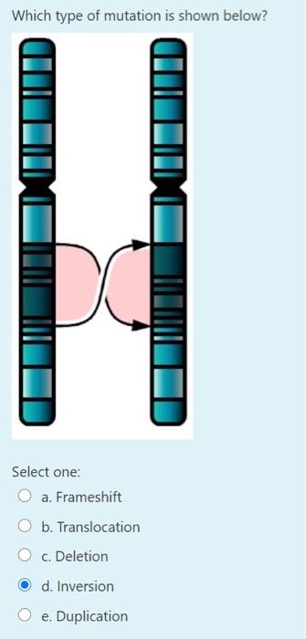 Solved Which type of mutation is shown below? Select one: O | Chegg.com