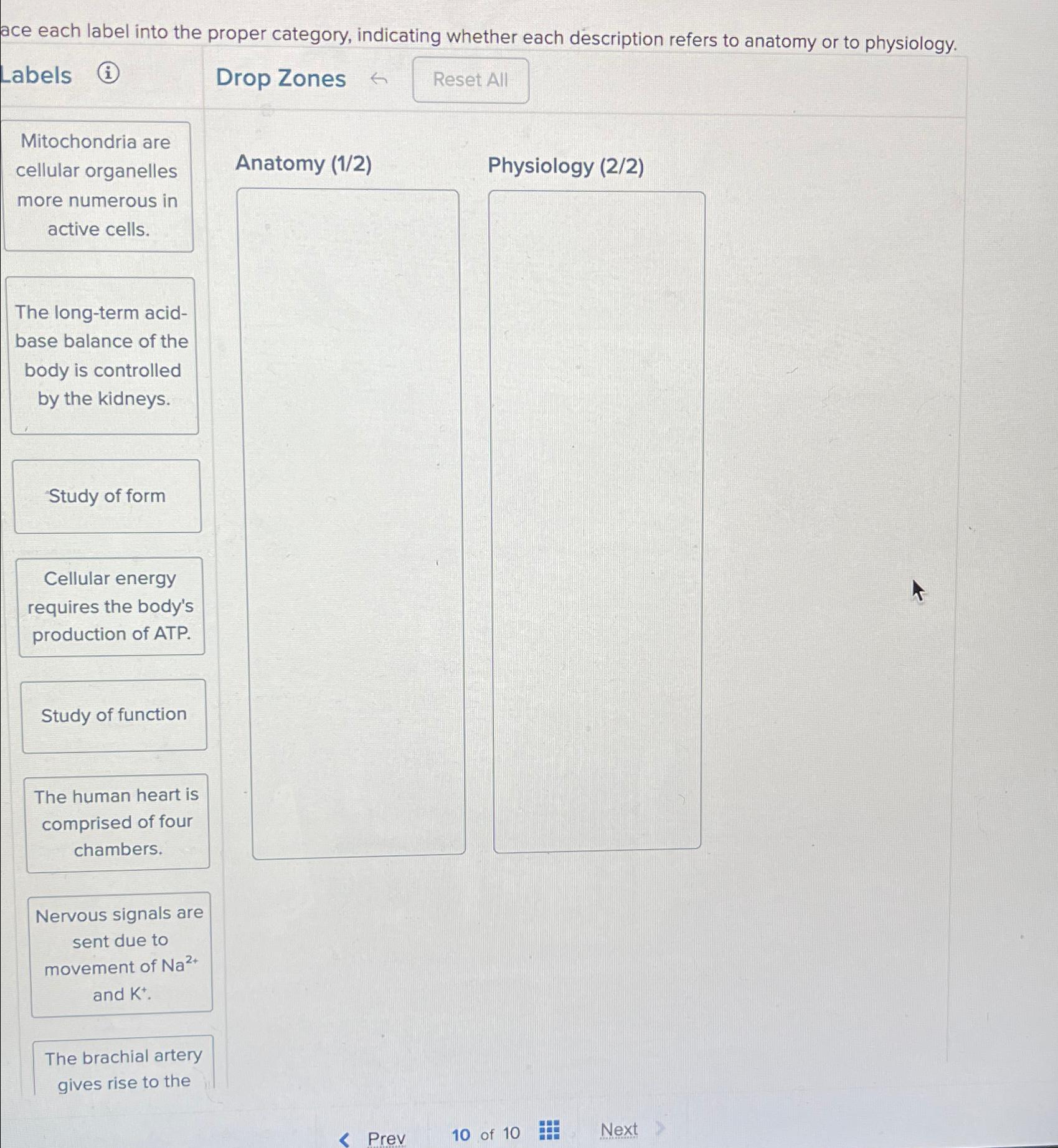 Solved ace each label into the proper category, indicating | Chegg.com