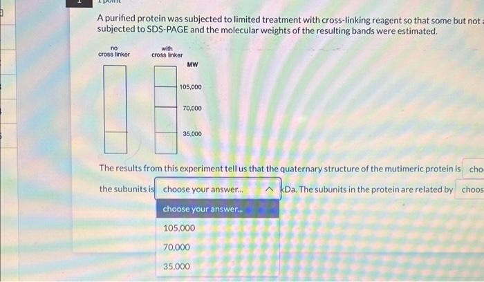 Solved A purified protein was subjected to limited treatment | Chegg.com