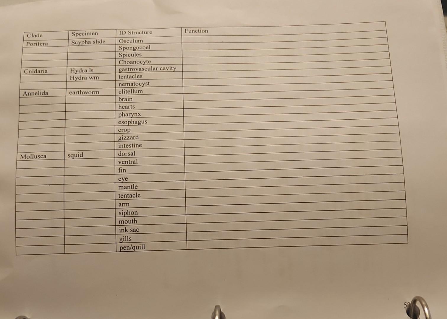 Solved \begin{tabular}{|l|l|l|l|} \hline Arthropoda & | Chegg.com