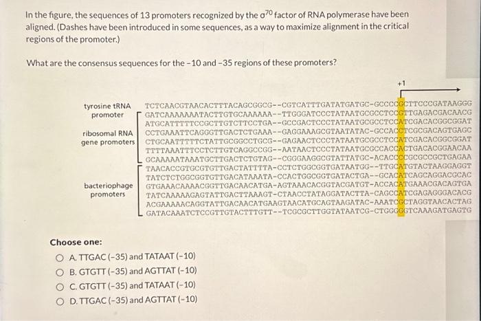 Solved In the figure, the sequences of 13 promoters | Chegg.com