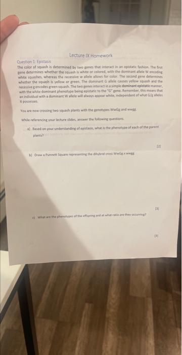 Solved Question 7 Epistasio The coloc of squath is | Chegg.com