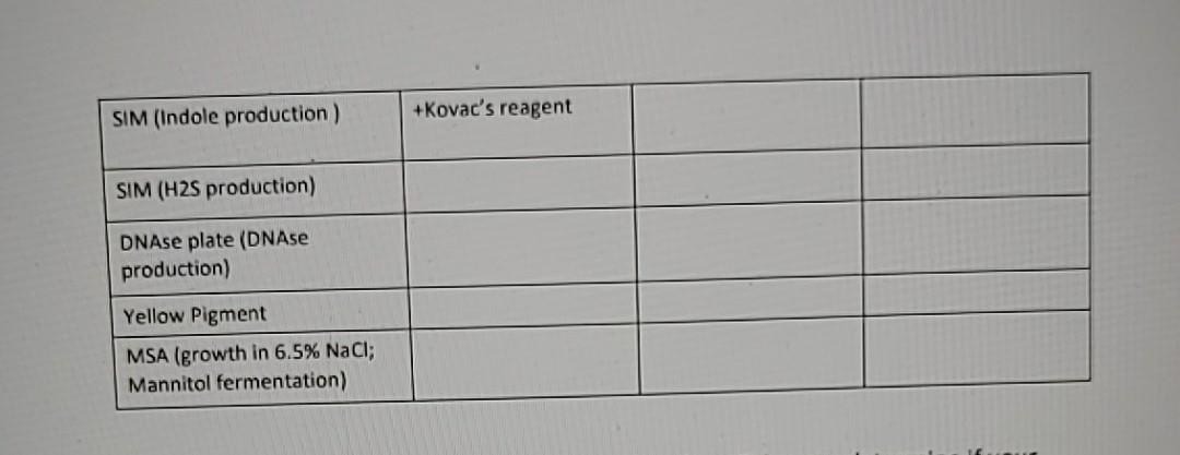Solved +Kovac's reagent SIM (Indole production) SIM (H2S | Chegg.com