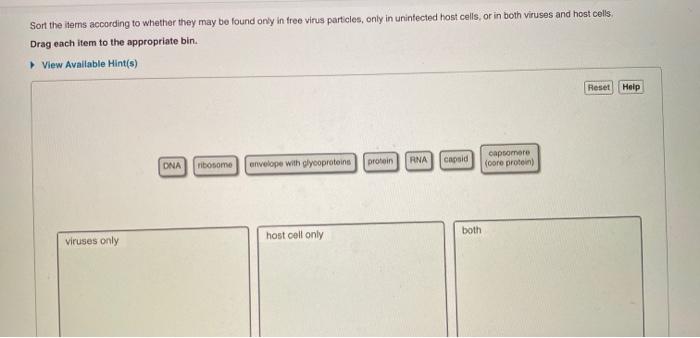 Solved Sort the items according to whether they may be found | Chegg.com