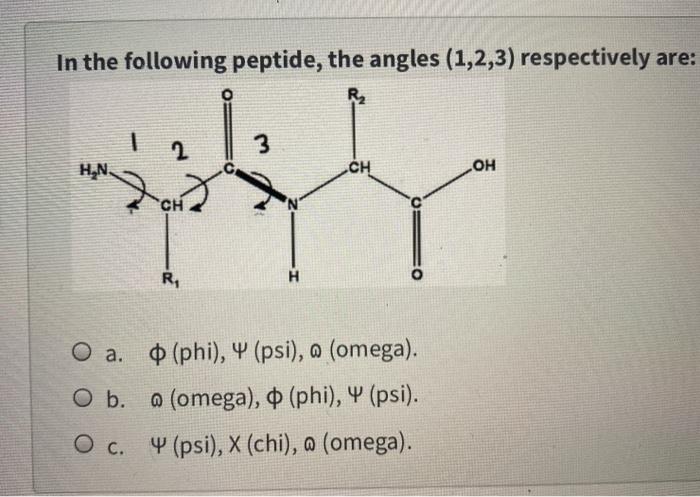 Solved In the following peptide, the angles (1,2,3) | Chegg.com