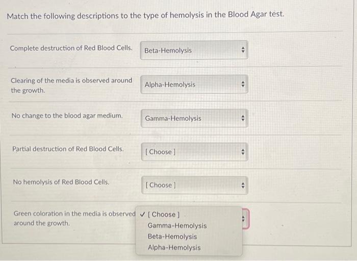 Solved Match the following descriptions to the type of | Chegg.com