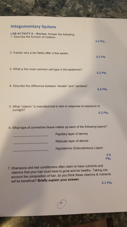 Solved Integumentary System LAB ACTIVITY 8 - Review. Answer | Chegg.com