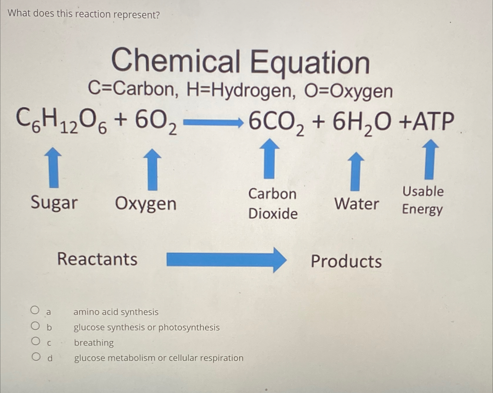 Solved What does this reaction represent?Chemical EquationC= | Chegg.com