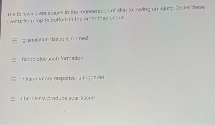 Solved The following are stages in the regeneration of skin | Chegg.com