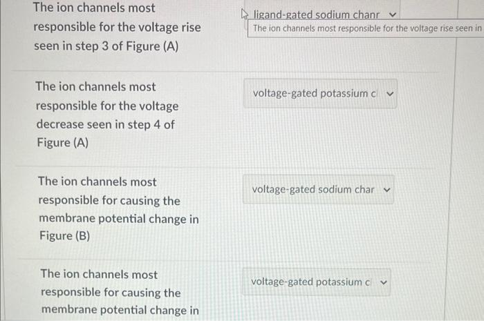 Solved (A)As we have mentioned in lecture, membrane | Chegg.com