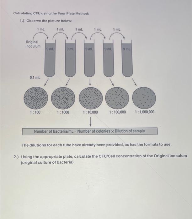 Solved Calculating CFU using the Pour Plate Method: 1.) | Chegg.com