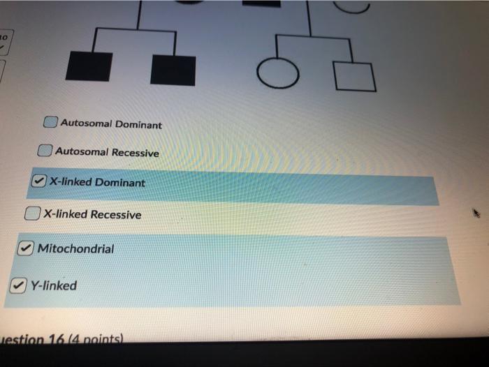 Solved Determine which mode(s) of inheritance are possible | Chegg.com