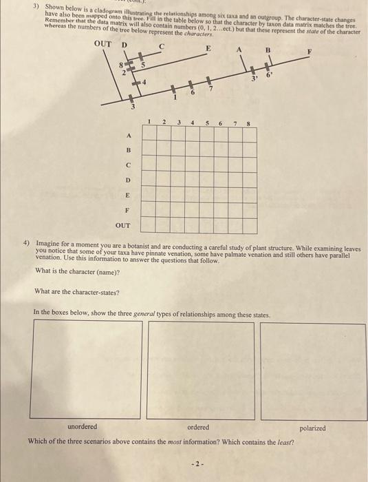Solved 3) Shown below is a cladogram illuatrating the | Chegg.com