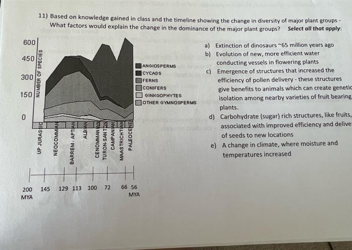 Solved 11) Based on knowledge gained in class and the | Chegg.com