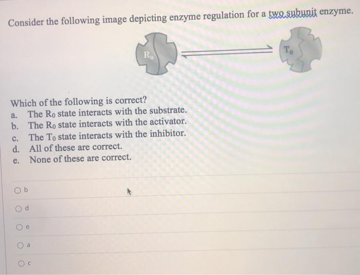 Solved Consider the following image depicting enzyme | Chegg.com