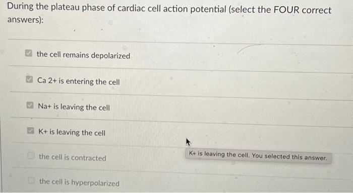 Solved During the plateau phase of cardiac cell action | Chegg.com