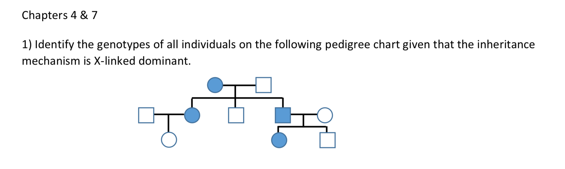 Solved Chapters 4 ﻿& 7Identify the genotypes of all | Chegg.com