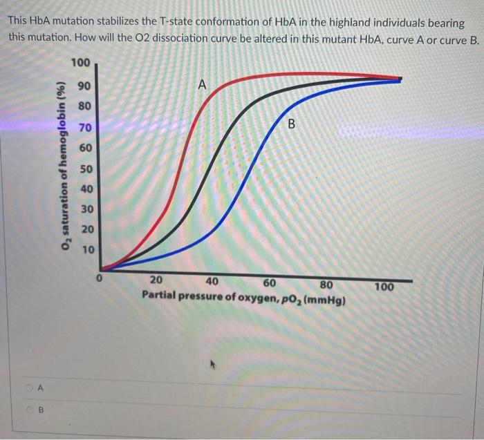 Solved This HbA mutation stabilizes the T-state conformation | Chegg.com