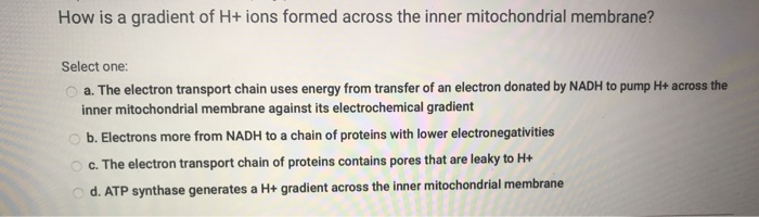 Solved How is a gradient of H+ ions formed across the inner | Chegg.com