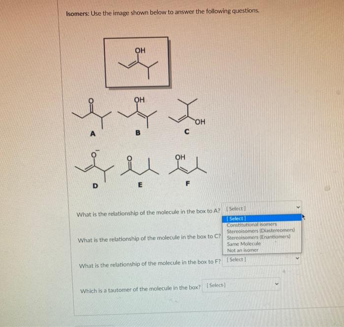 Solved Isomers: Use the image shown below to answer the | Chegg.com