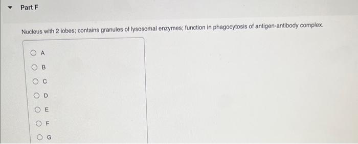 Solved Chapter 17 - Matching tem 3 A. Thromboctye B. | Chegg.com