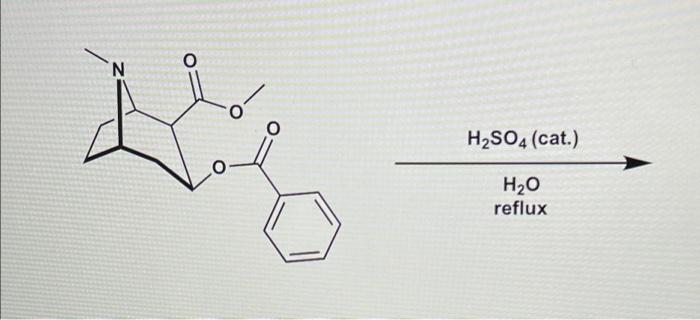 Solved N H2SO4 (cat.) 0 H2O reflux | Chegg.com