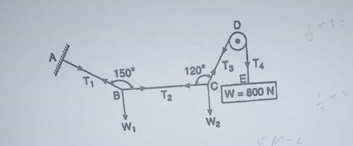 Solved A string ABCD whose extremity A is fixed, has weights | Chegg.com
