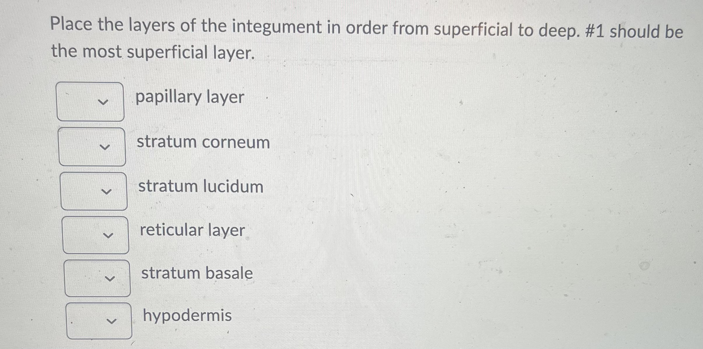 Solved Place the layers of the integument in order from | Chegg.com