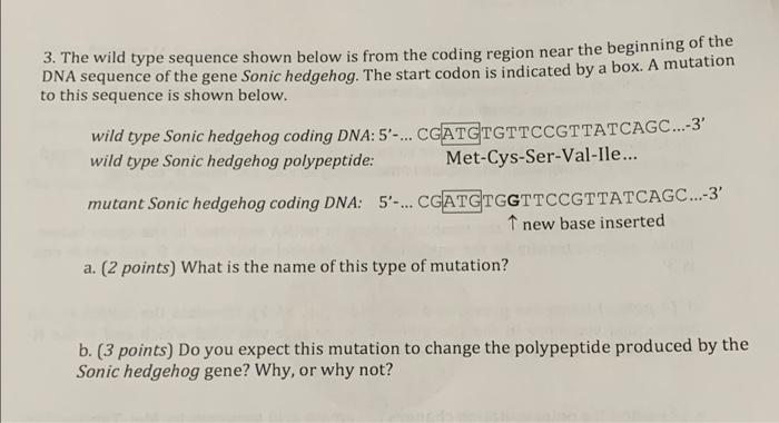 Solved 3. The wild type sequence shown below is from the | Chegg.com