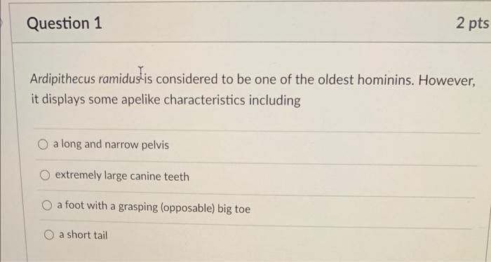 Solved Question 1 2 pts Ardipithecus ramidus is considered | Chegg.com