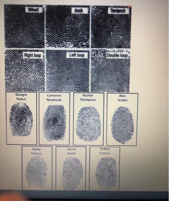 Whort Arch Tentarch Right loop Left loop Double loop. | Chegg.com