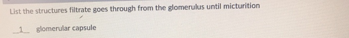 Solved List the structures filtrate goes through from the | Chegg.com