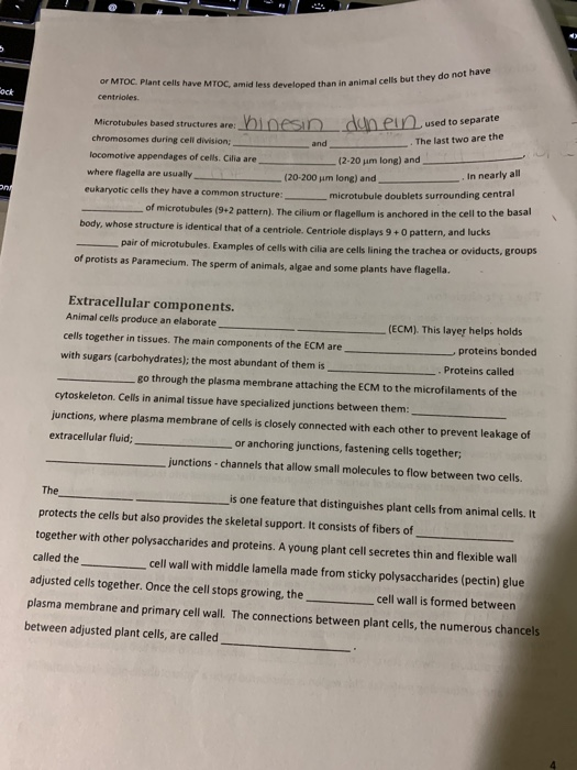 Solved or MTOC. Plant cells have MTOC. amid less developed | Chegg.com