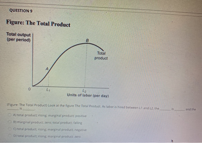 Solved QUESTION 9 Figure: The Total Product Total output | Chegg.com