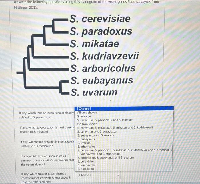 Solved Answer the following questions using this cladogram | Chegg.com