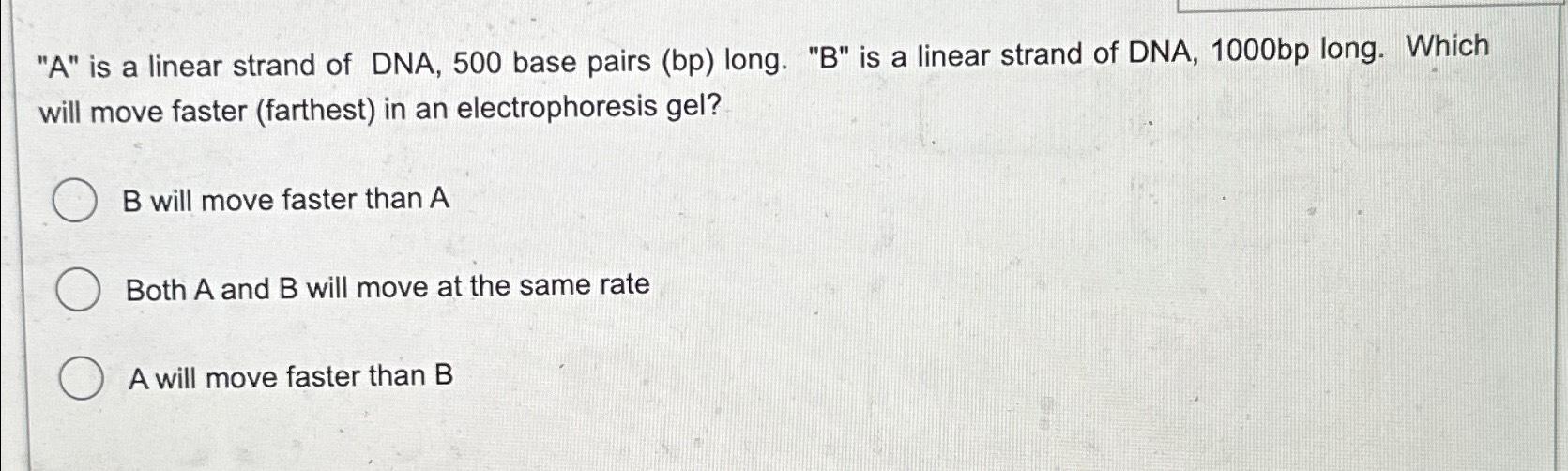 Solved "A" ﻿is a linear strand of DNA, 500 ﻿base pairs (bp) | Chegg.com