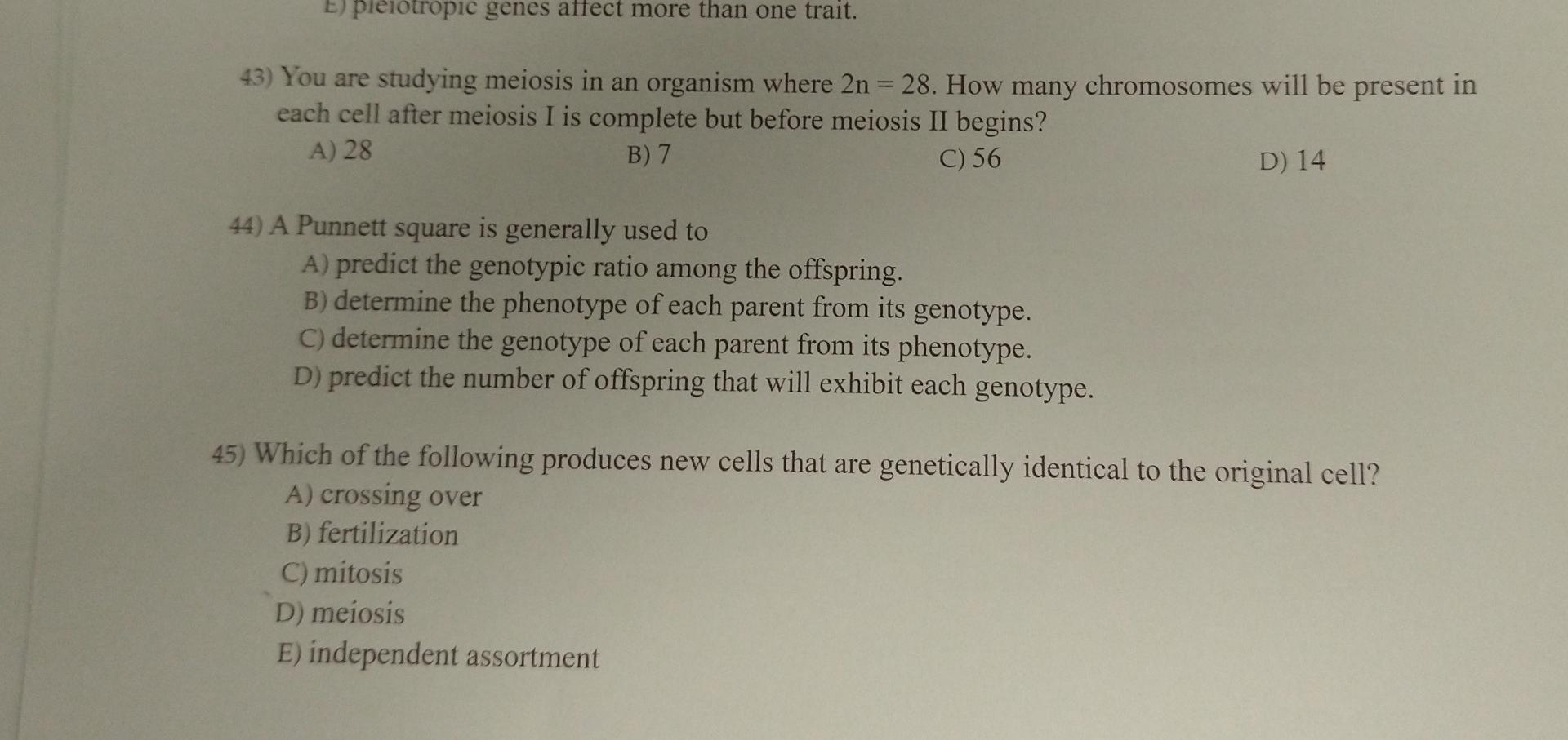 Solved pleiotropic genes affect more than one trait. 43) You | Chegg.com