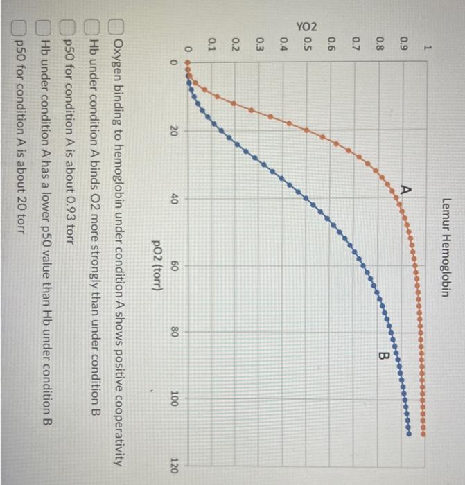 Solved Oxygen binding to hemoglobin under condition A shows | Chegg.com