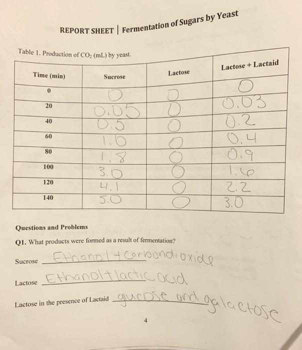 Solved REPORT SHEET Fermentation of Sugars by Yeast Table 1. | Chegg.com