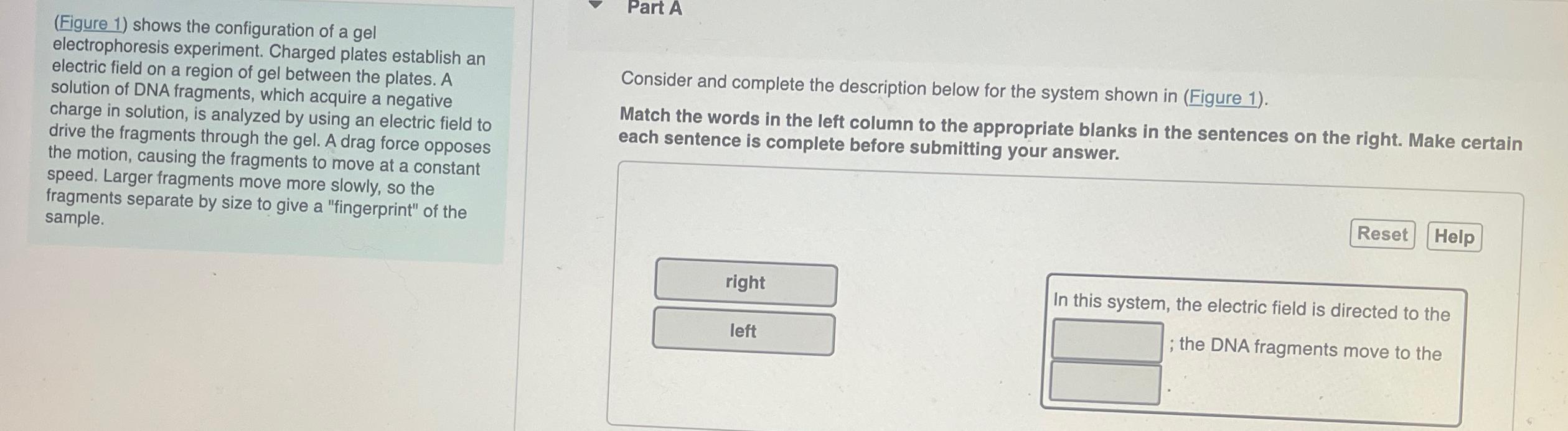 Solved (Figure 1) ﻿shows the configuration of a gel | Chegg.com