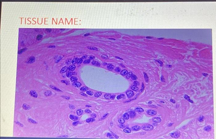 Solved Tissue Name