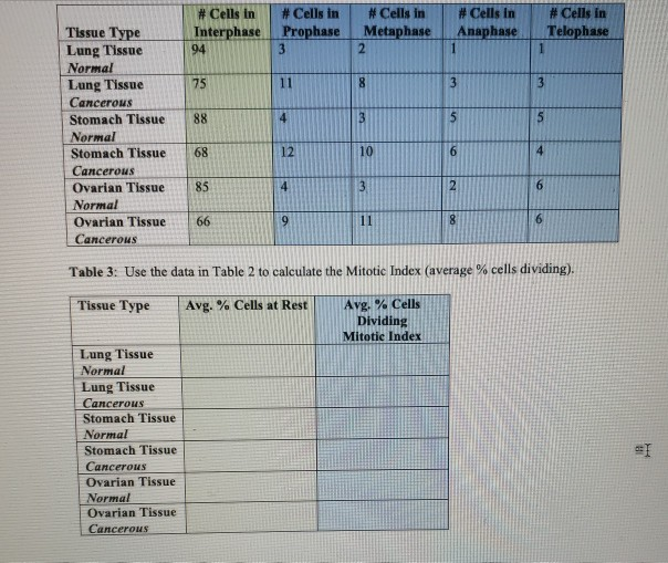 Solved Part 4 - Cancer and Mitosis 1. Review the data below | Chegg.com